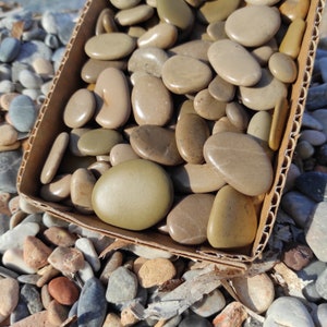 100 Natural,smooth Chunky,olive Green,beach Pebbles.pebbles for Crafts ...