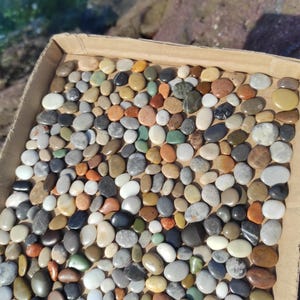 400 Oval and Round, Natural,tiny,colorfull,beach Pebbles.smooth,and ...