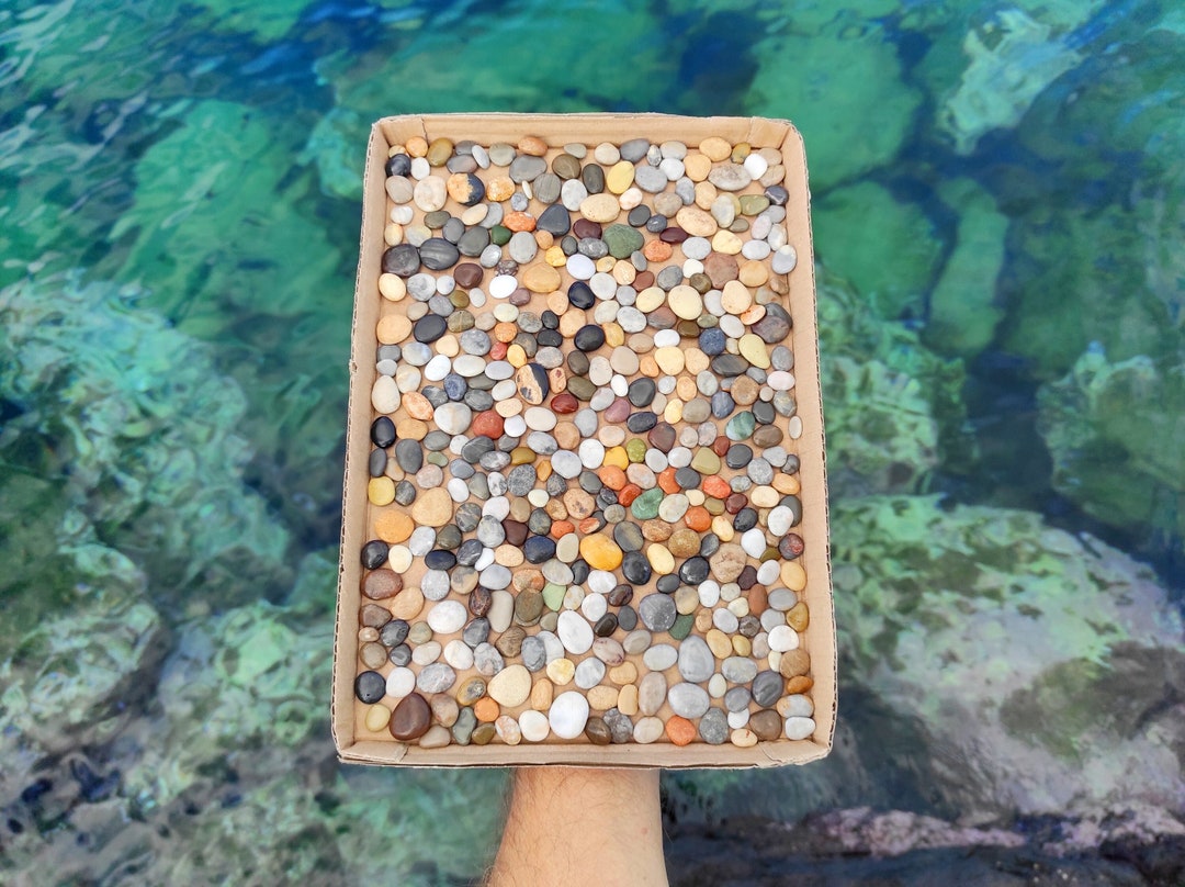 400 Oval and Round, Natural,tiny,colorfull,beach Pebbles.smooth,and ...