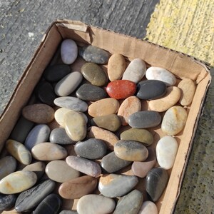 80 Elongated,colorful,smooth,beach Pebbles for Jewellery,genuine,ob ...