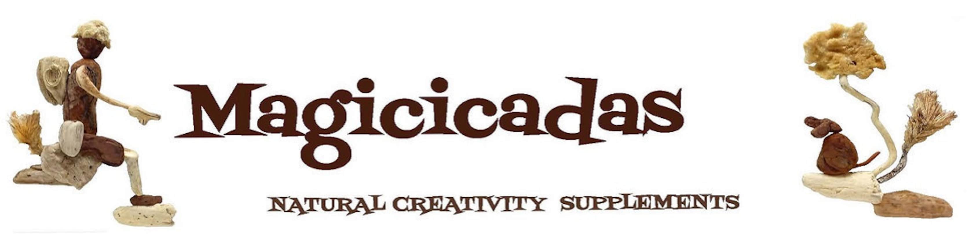 Magicicadas - Etsy