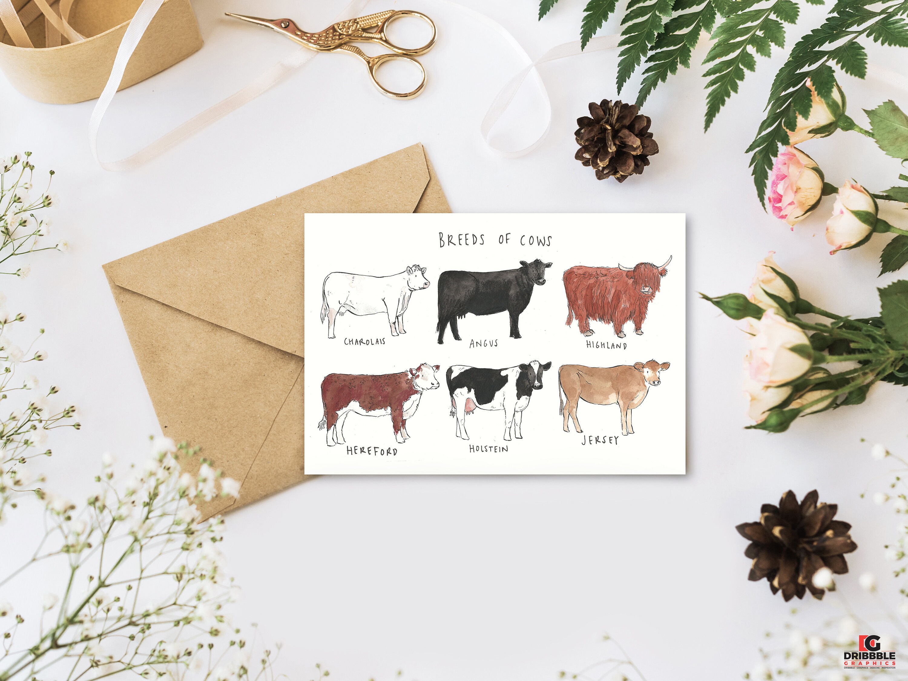 Greetings Card Breeds of Cows | Etsy
