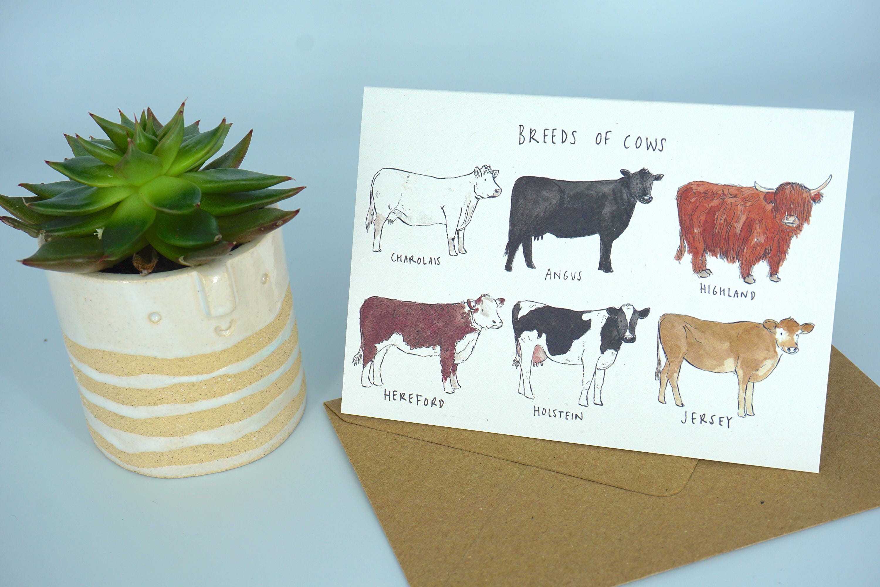 Greetings Card Breeds of Cows | Etsy