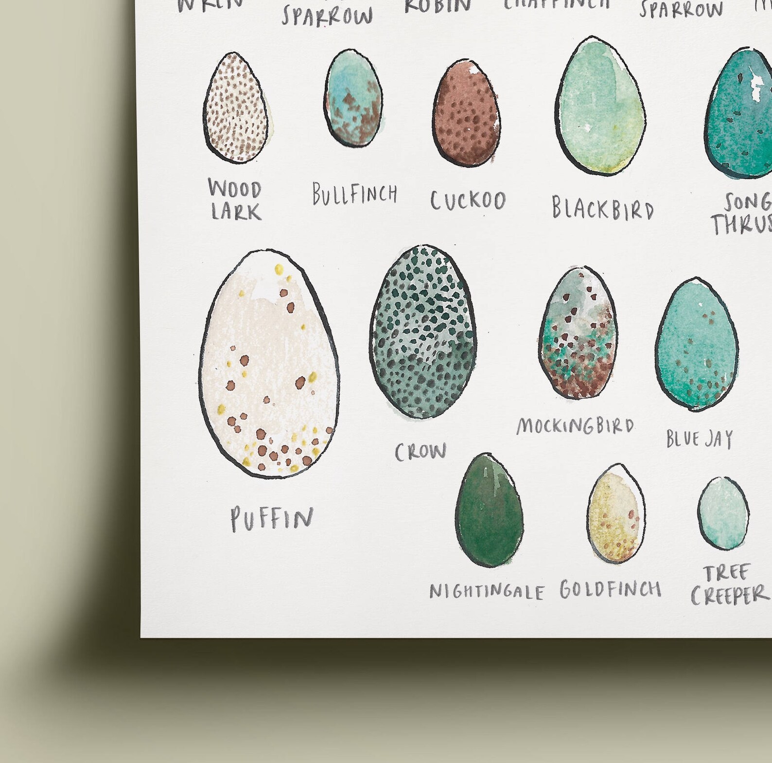 Print Types of Eggs | Etsy UK