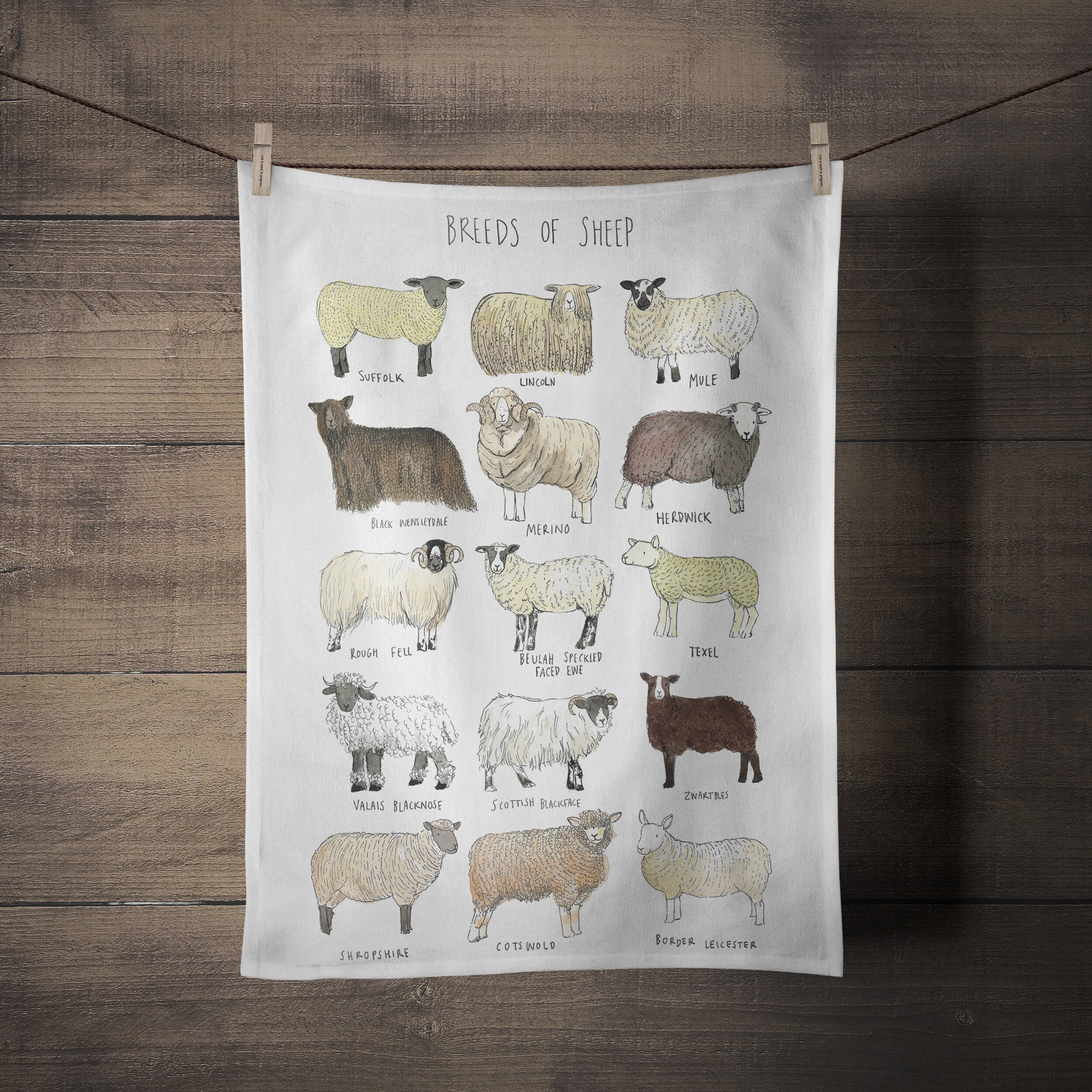 Tea Towel Breeds of Sheep | Etsy