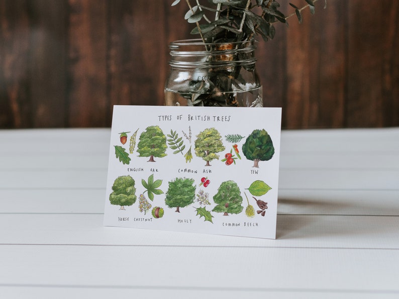 Greetings Card - Types of Trees - Etsy UK