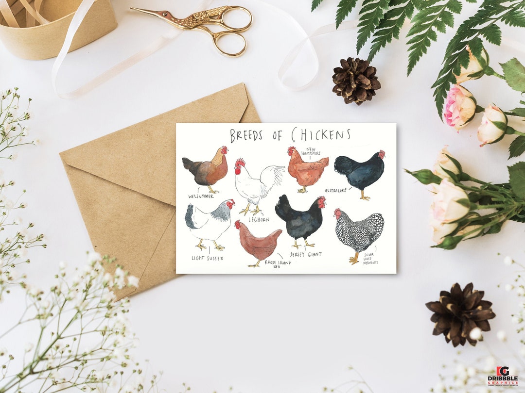 Greetings Card - Breeds of Chickens - Etsy