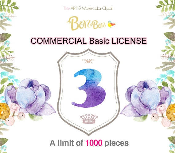 3 Basic Commercial Licenses Bundle | Etsy