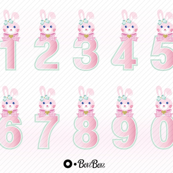 Bunny Birthday Clipart - Etsy