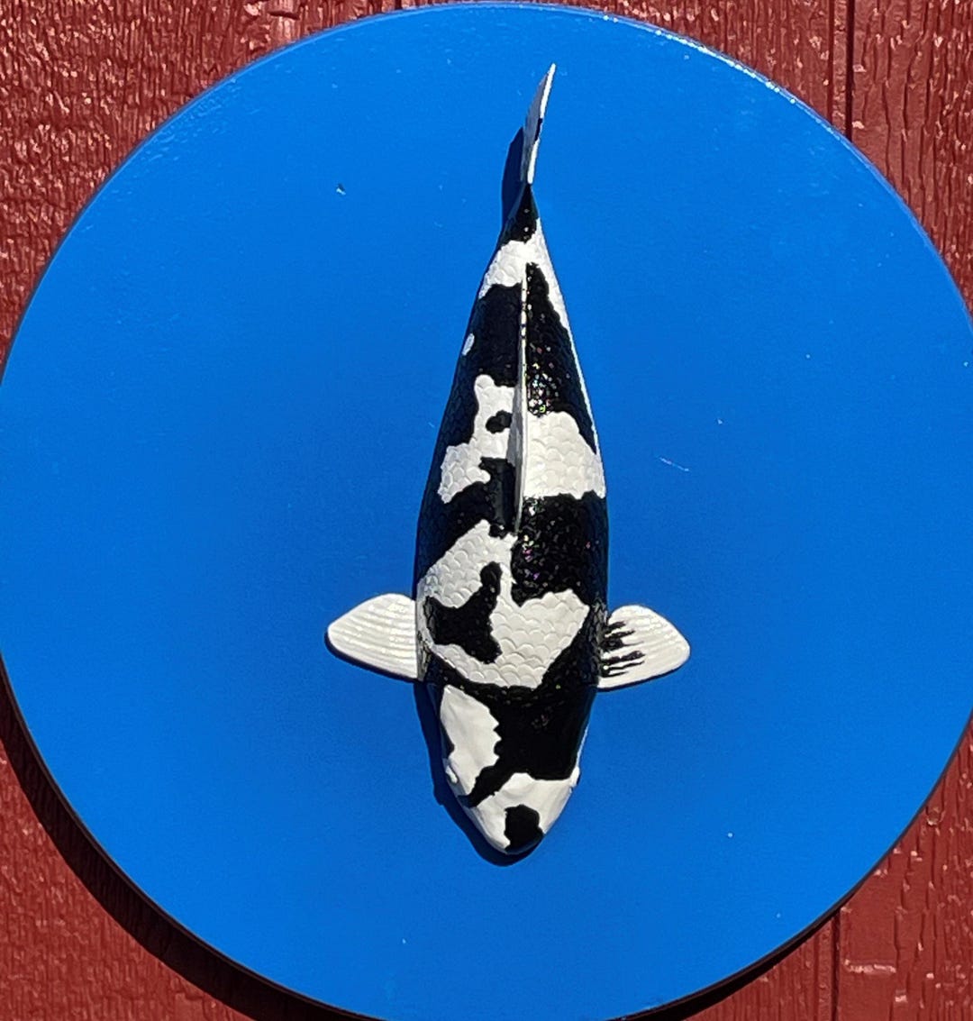 Koi Art Wall Decor - Beautiful Shiro Utsuri - Etsy