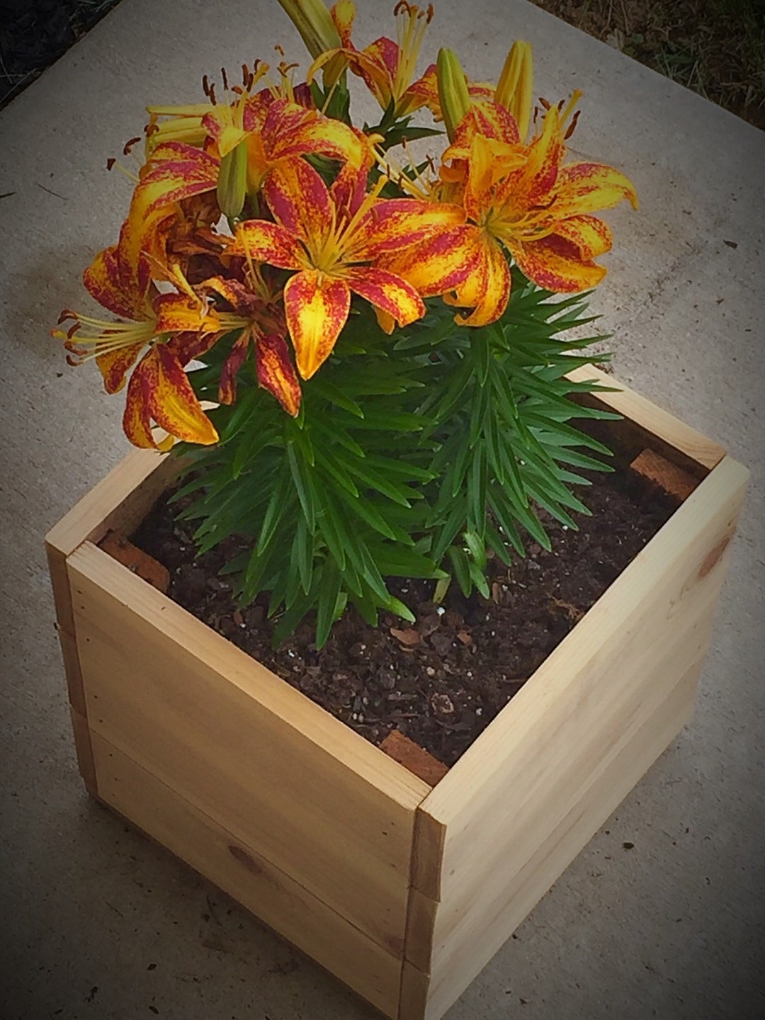 Outdoor Planter Box - Etsy Canada
