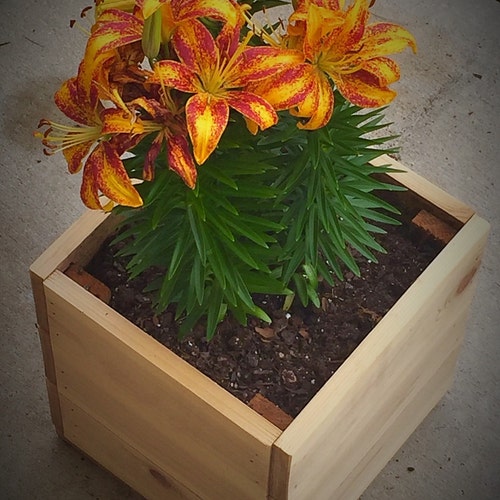 Cedar Planter Box Outdoor Garden Box - Etsy