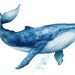 Under the Sea Clipart Set. Cute Sea Animals, Whale, Dolphin, Shark ...