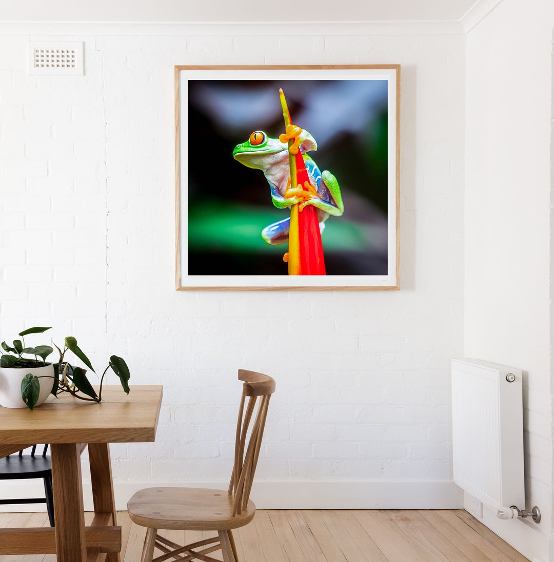 Frog Photo Digital Download Screensaver Printable Wall Art Fine Art ...