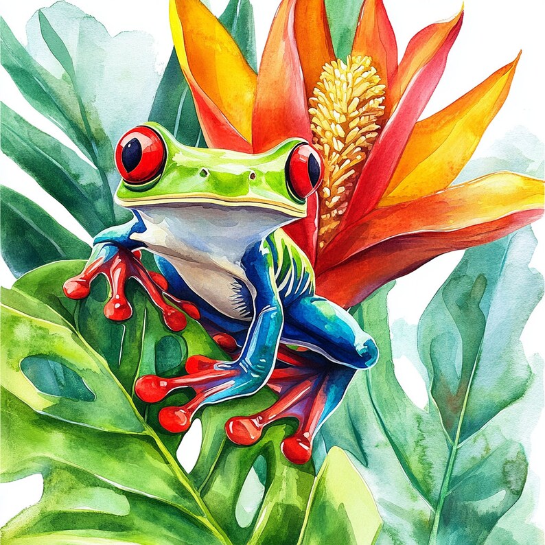 Red-eyed Tree Frog Watercolor Portrait Clipart (JPG Digital Download ...