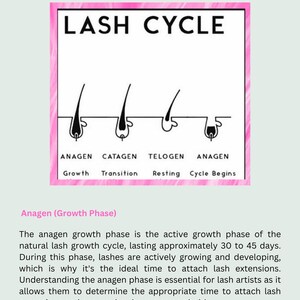 Lash Training Manual | Lash Extension Manual, Lash Course Manual, Lash ...