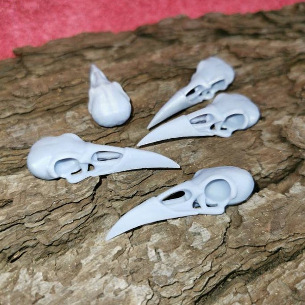 Raven Taxidermy - Etsy