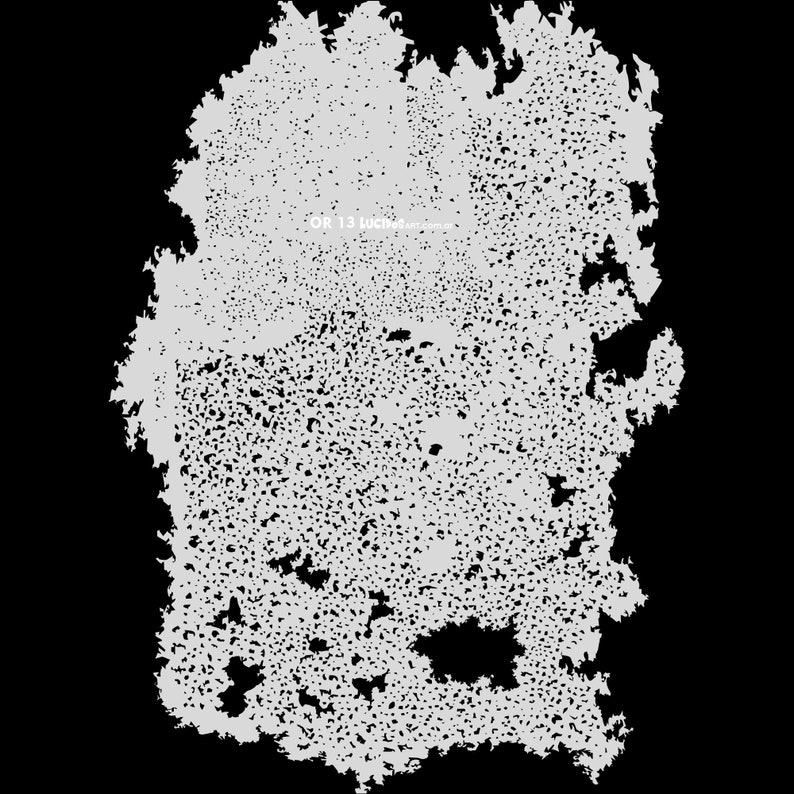 Skin Brand New Stencil warts skin texture Template | Etsy