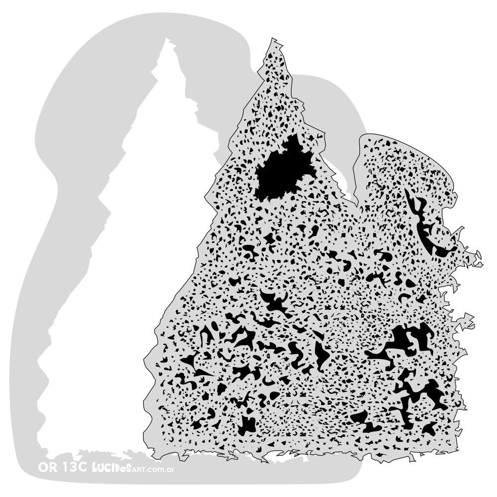 NEW Skin Soft Texture Warts Foam Backgrounds New Stencil Plantilla ...