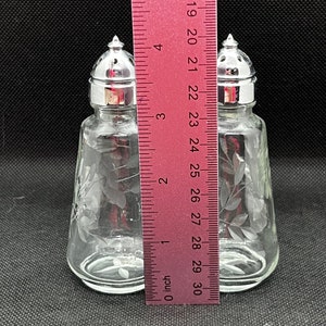 Vintage Salt and Pepper Shakers Princess House Etched Floral Pattern - Etsy