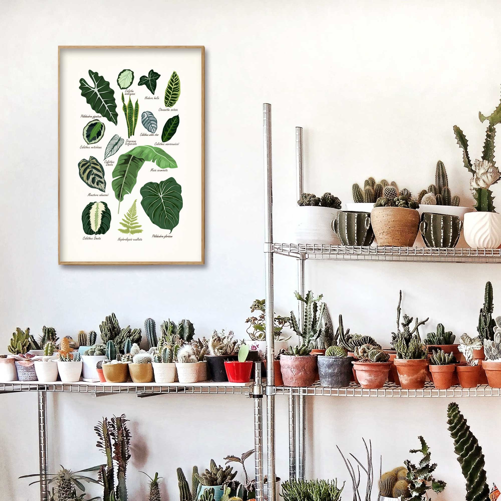 House Plants Print Plant Poster Printable Wall Art | Etsy