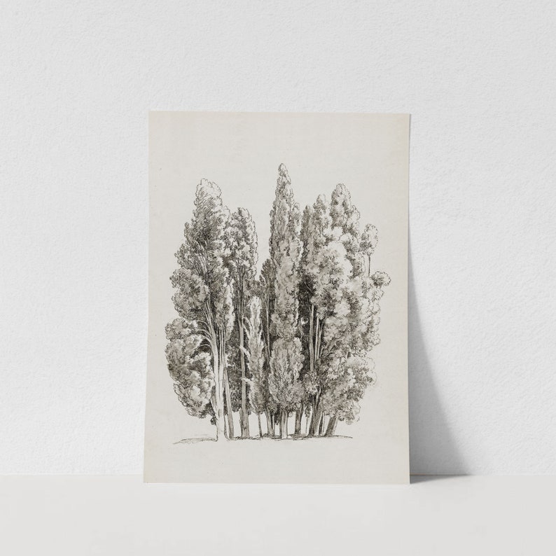 Vintage Tree Sketch Printable Wall Art Vintage Art Prints - Etsy