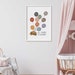 Colors Educational Print, Rainbow Classroom Decor, Printable Wall Art ...
