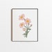 Spring Flower Prints, Set of 4, Printable Wall Art, Farmhouse Decor ...