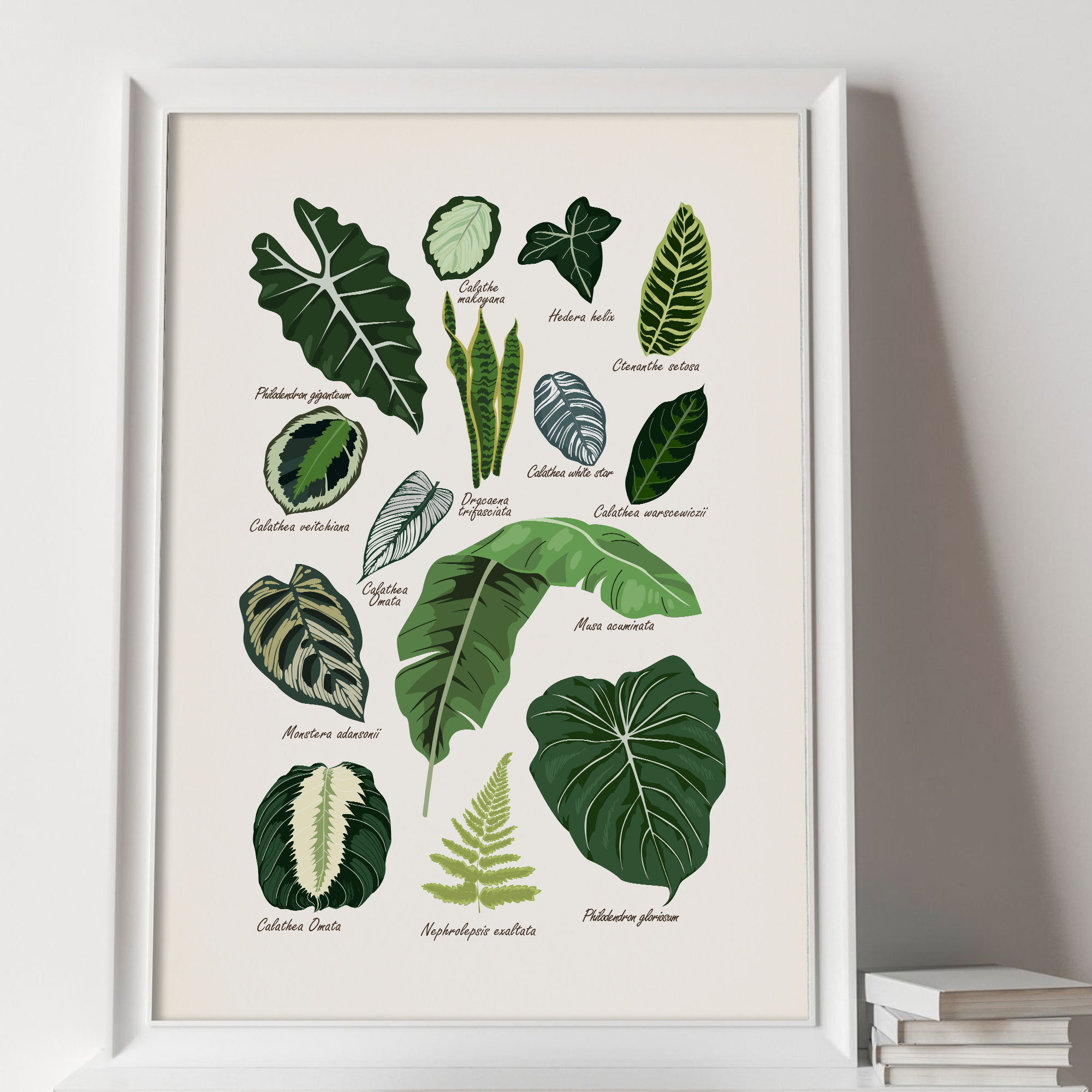 House Plants Print Plant Poster Printable Wall Art | Etsy
