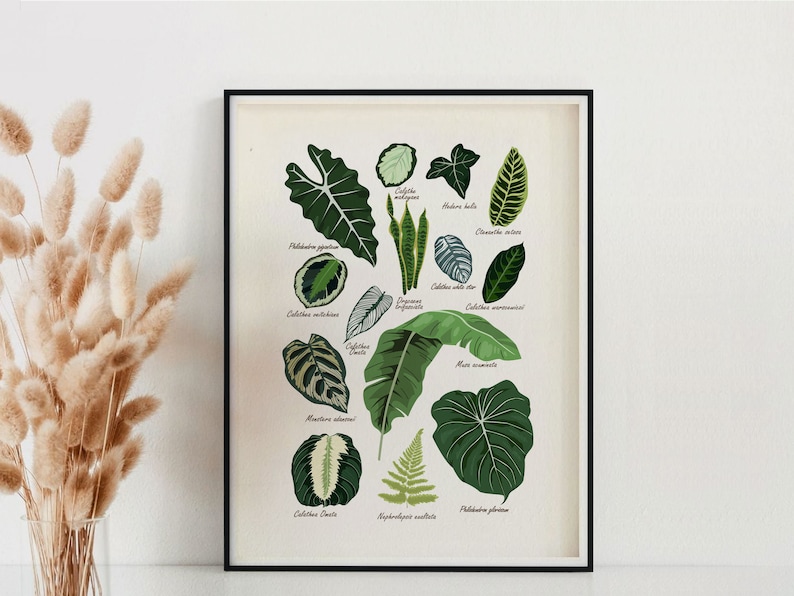 Boho Botanical Art Set, Set of 15 Prints, Boho Art Set, Botanical House ...