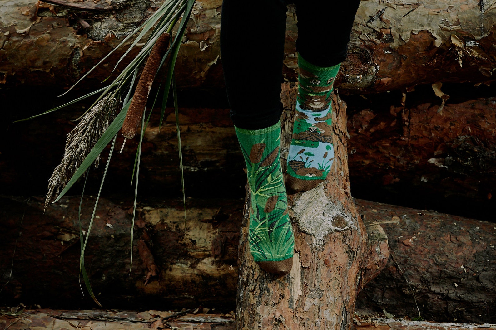 Beavers Socks Beaver Socks Mismatched Socks Funny Socks - Etsy