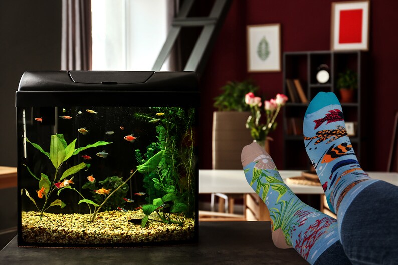 Aquarium Socks Fish Socks Colorful Socks Cool Socks - Etsy