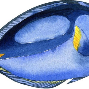 Blue Tang Fish Wall Decal Wall Decal Tropical Fish Ocean Sea Life ...