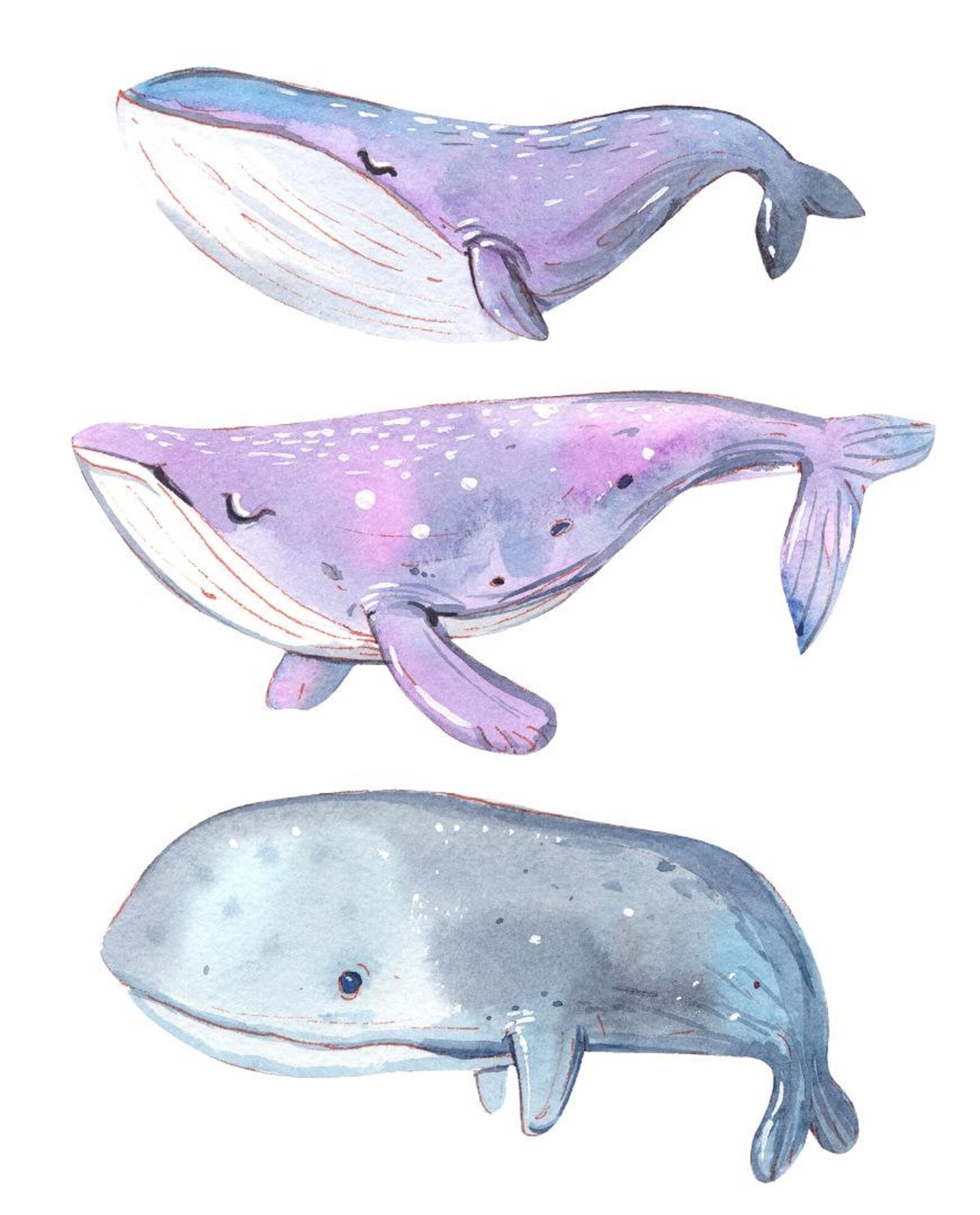 Watercolor Sleepy Whale Wall Decal Set of 3 Ocean Sea Life - Etsy