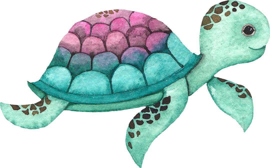 Aqua Pink Sea Turtle Wall Decal Ocean Sea Life Removable - Etsy