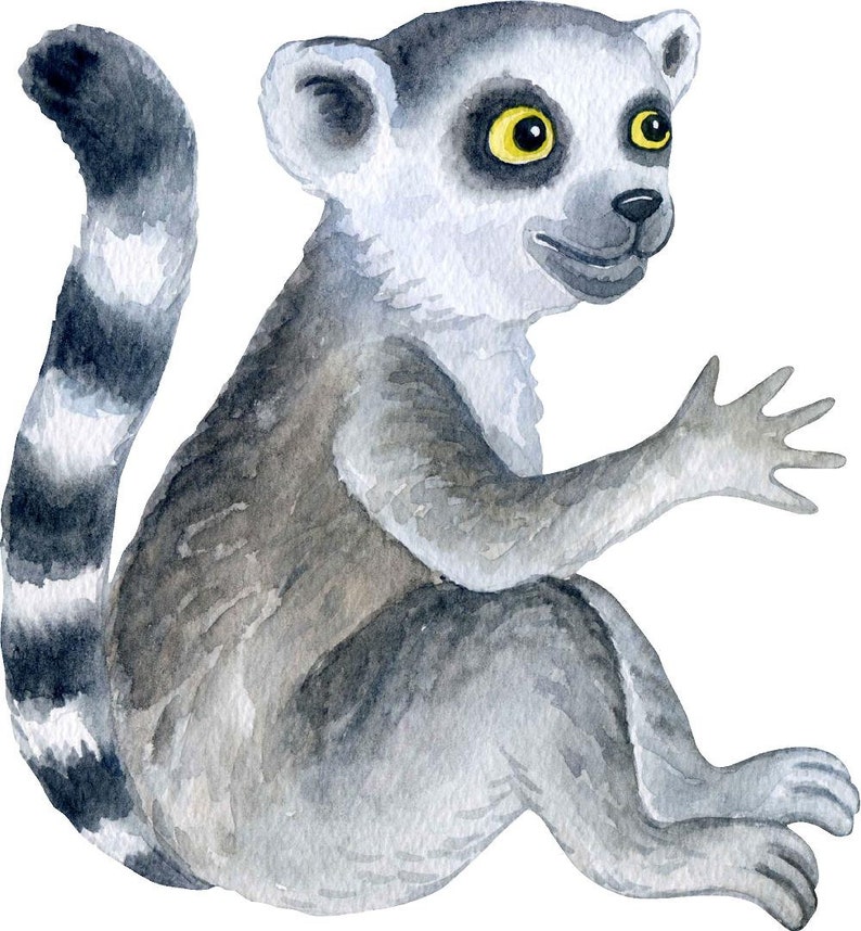 Baby Lemur Wall Decal Safari Animal Wall Sticker Removable Fabric for ...