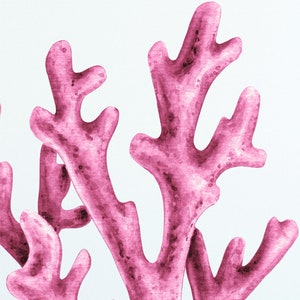 Pink Coral Wall Decal Ocean Sea Coral Reef Removable Fabric Wall ...