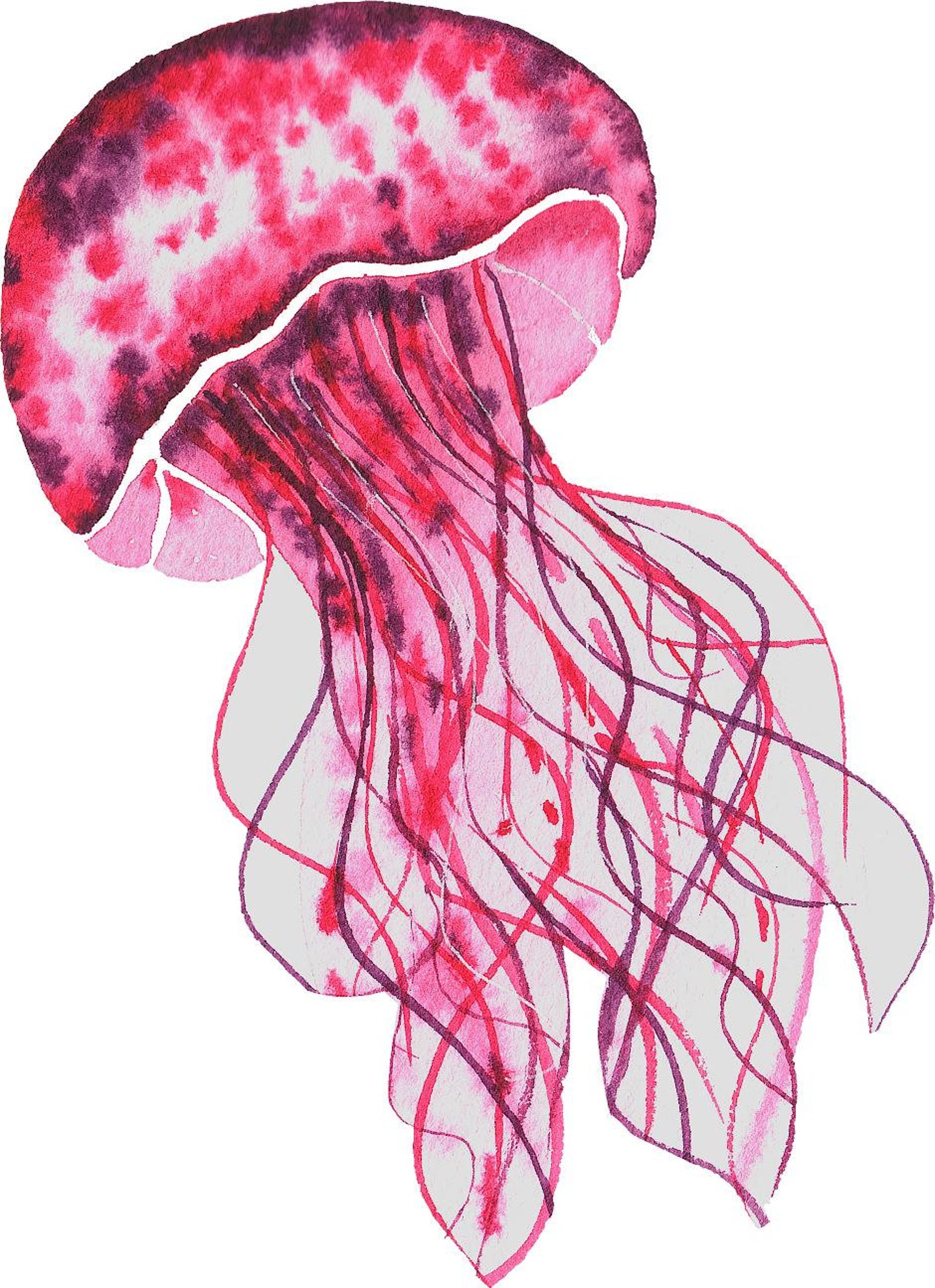 Watercolor Hot Pink Jellyfish Wall Decal Ocean Sea Life - Etsy