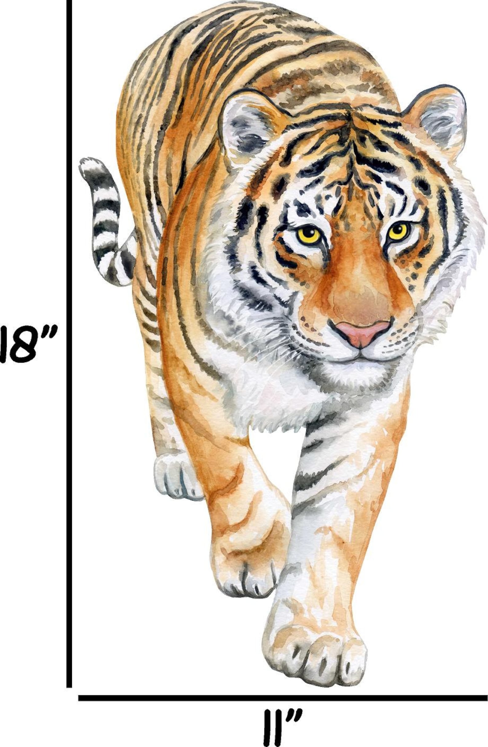 Tiger Wall Decal Safari Animal Wall Sticker Removable Fabric - Etsy