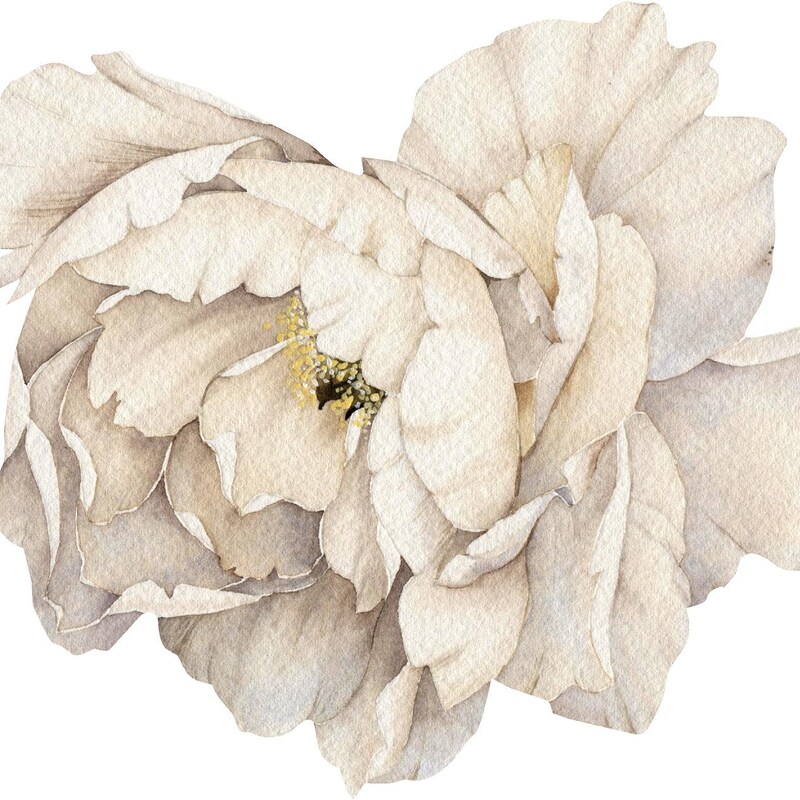 Peony Wall Decal - Etsy