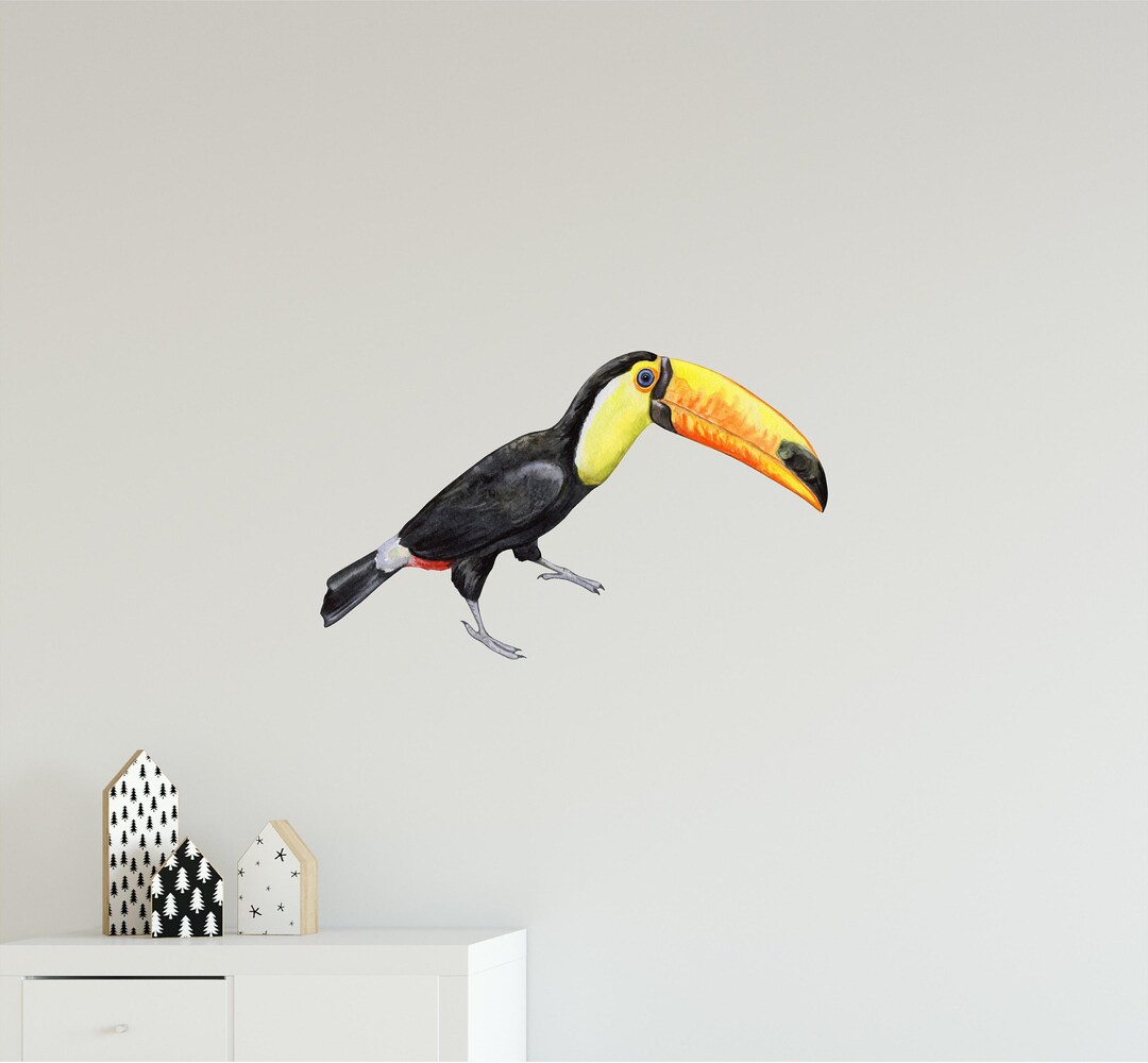Toco Toucan Bird Wall Decal Tropical Rainforest Birds Wall Sticker ...