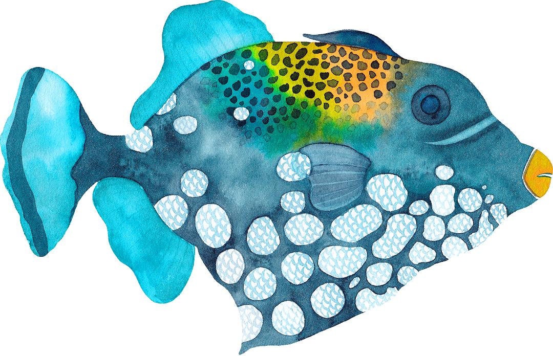 Triggerfish Wall Decal Tropical Fish Ocean Sea Life Removable Fabric ...