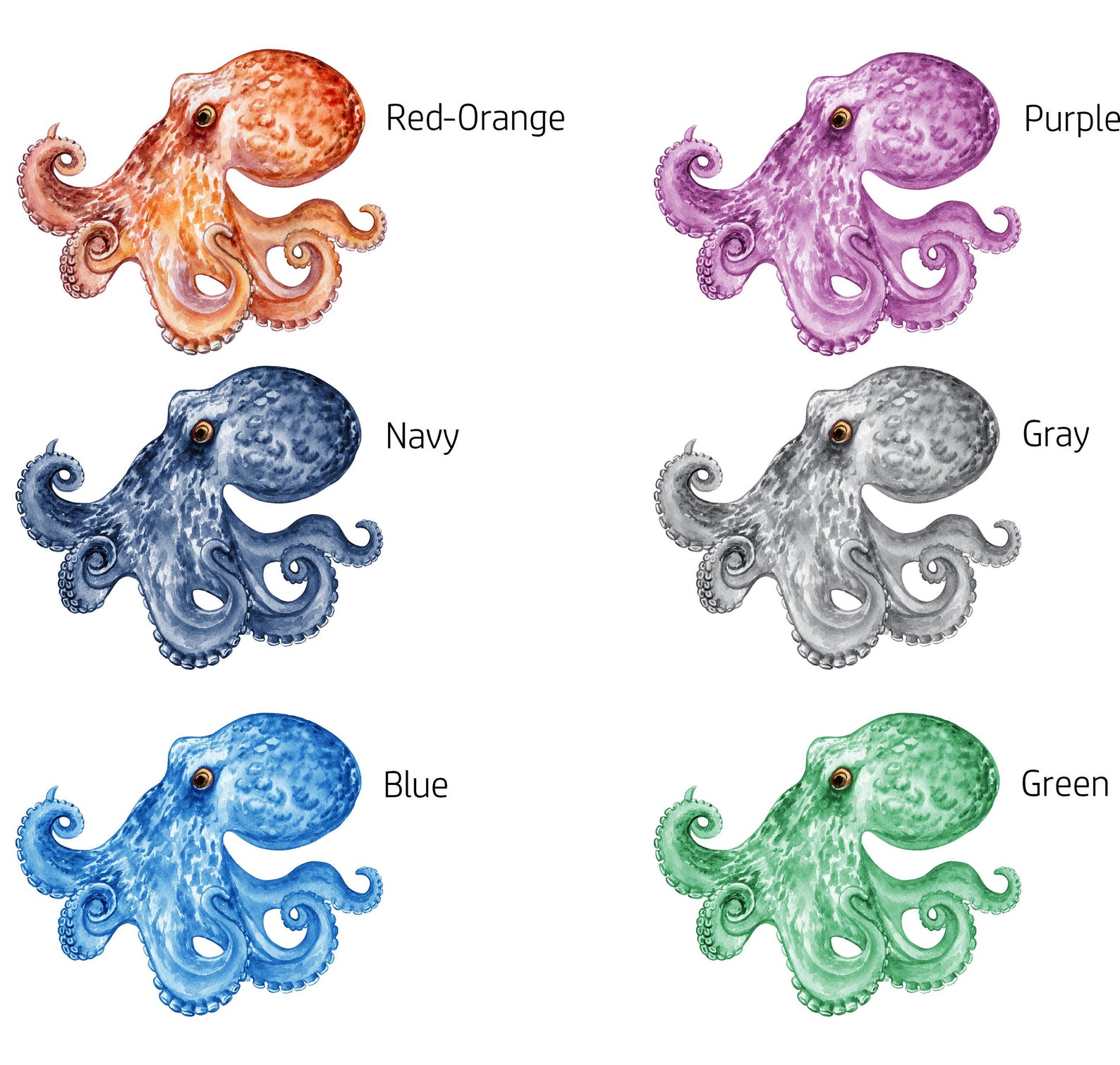 Watercolor Octopus 2 Wall Decal Ocean Sea Life Removable - Etsy