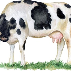 Farm Cow Wall Decal Watercolor Dairy Cattle Black/white Cow Removable ...