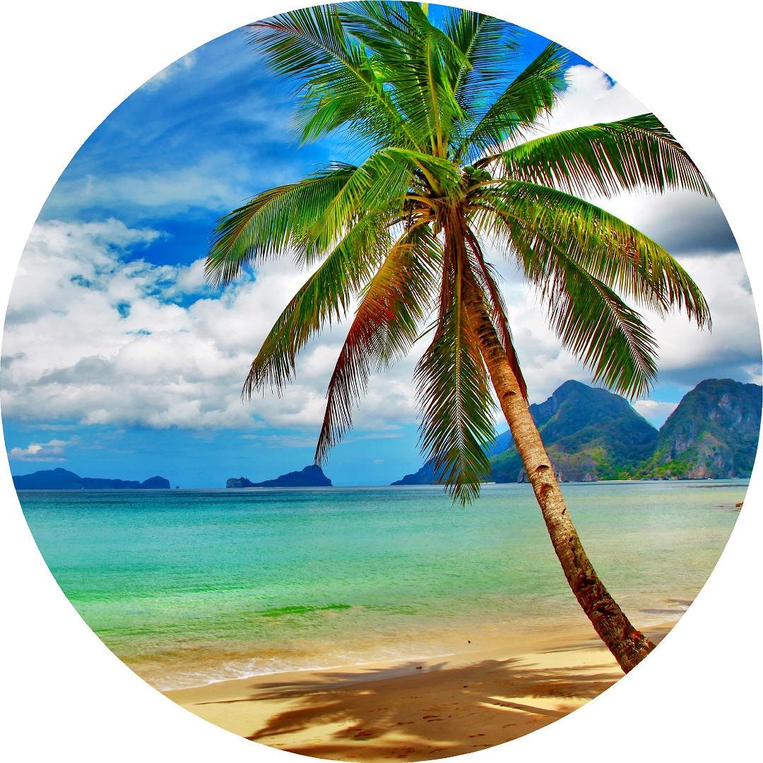 Tropical Beach Circle Wall Decal Circle Print Wall Dot - Etsy