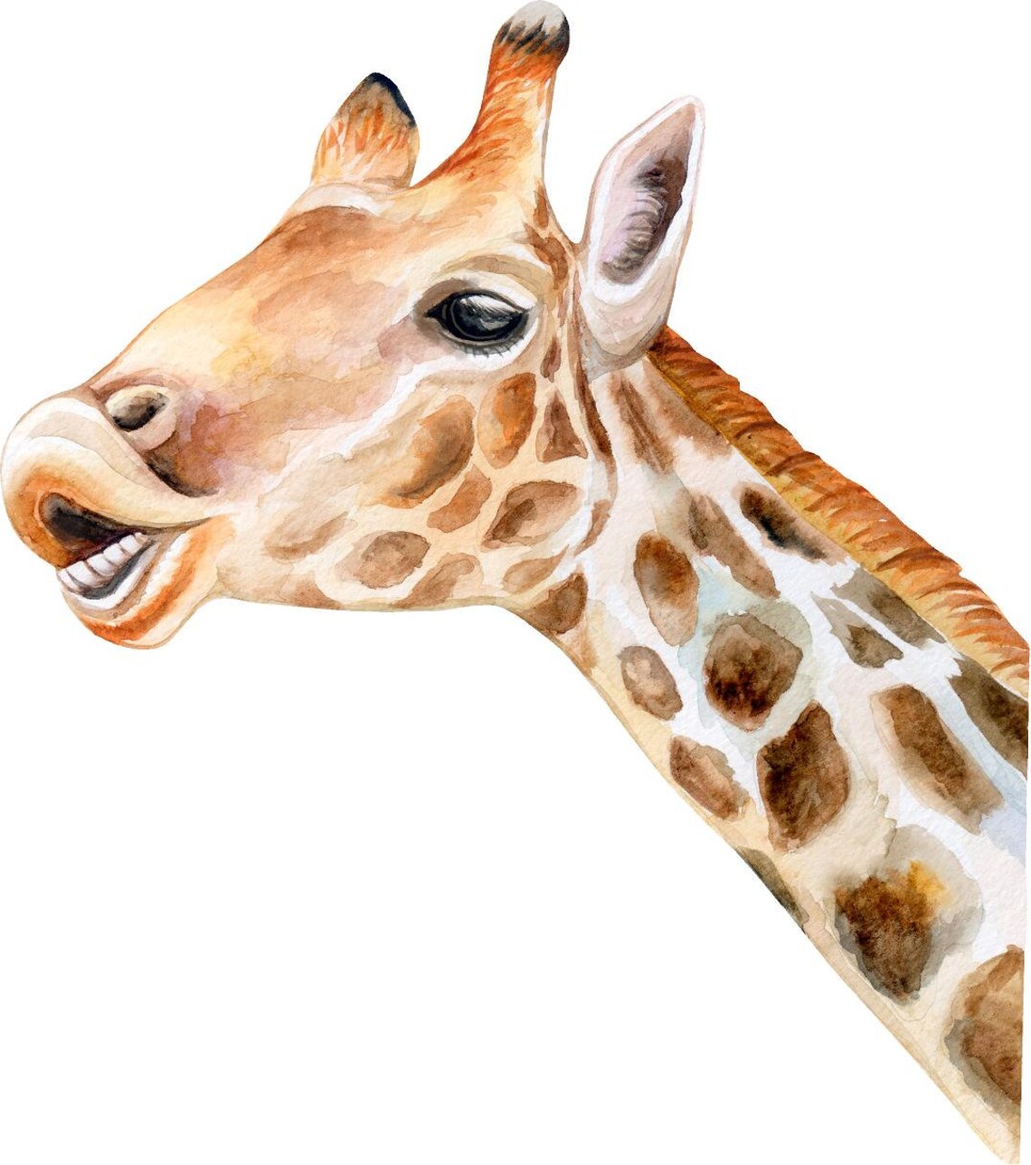 Giraffe Head 2 Wall Decal Safari Animal Wall Sticker - Etsy