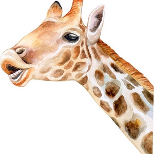 Giraffe Head #2 Wall Decal Safari Animal Wall Sticker Removable Fabric ...