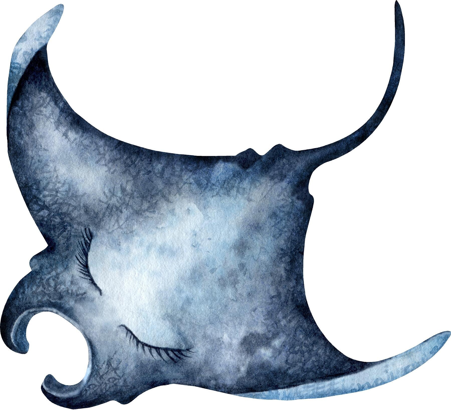 Sleepy Indigo Manta Ray Wall Decal Ocean Sea Life Removable Fabric Wall ...