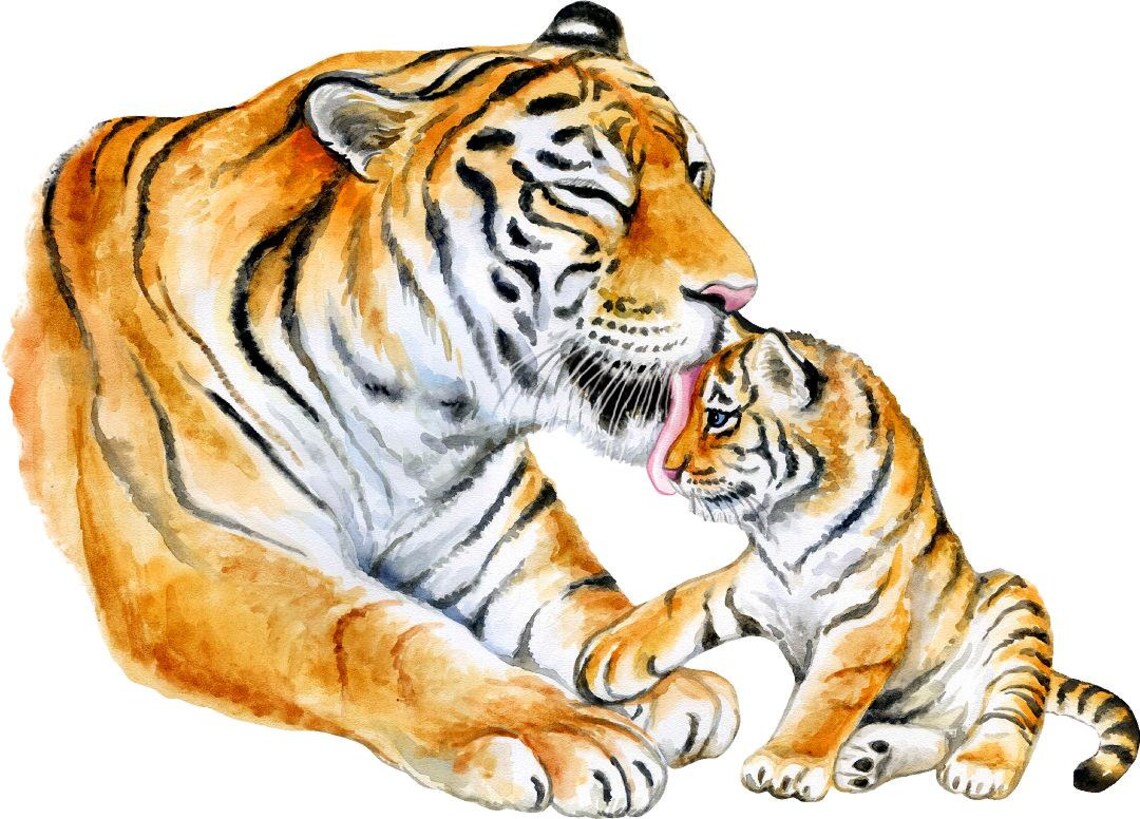 Mother Tiger Cleaning Baby Cub Wall Decal Safari Animal Peel & - Etsy