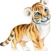Baby Tiger Cub 2 Wall Decal Safari Animal Wall Sticker - Etsy